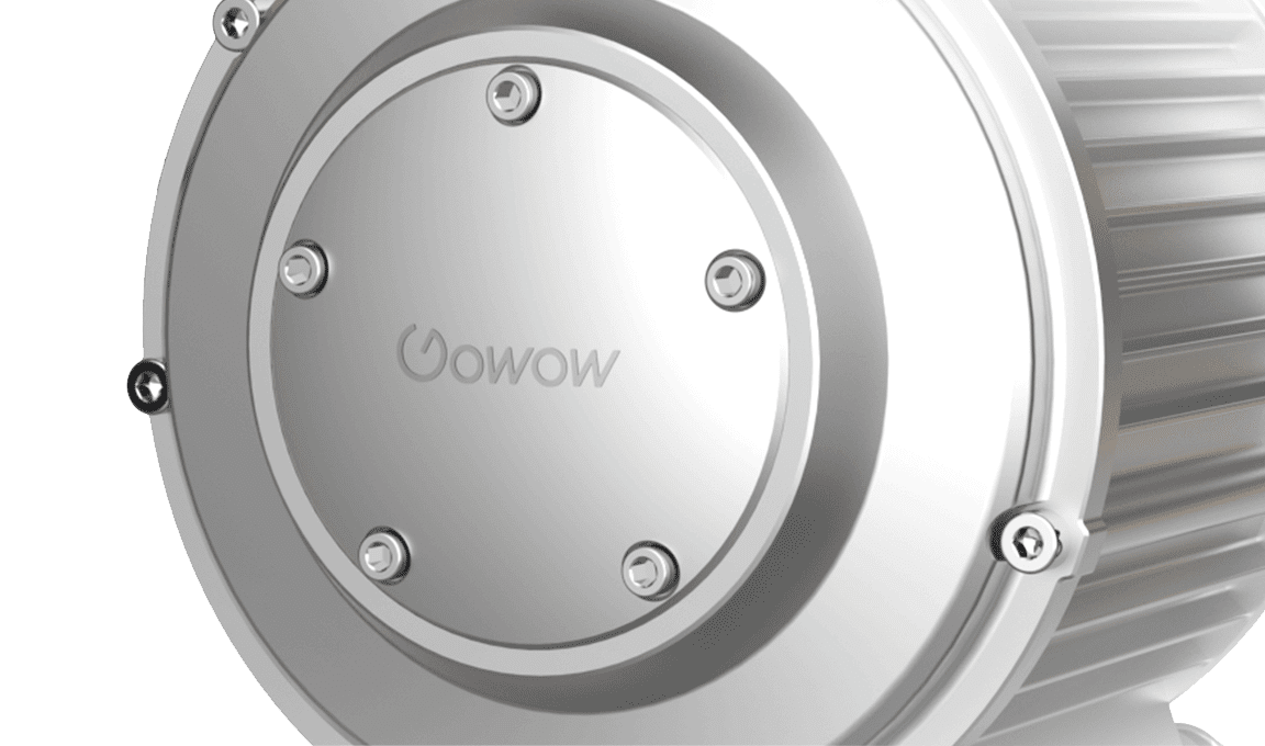 Gowow Ori Electric Moto